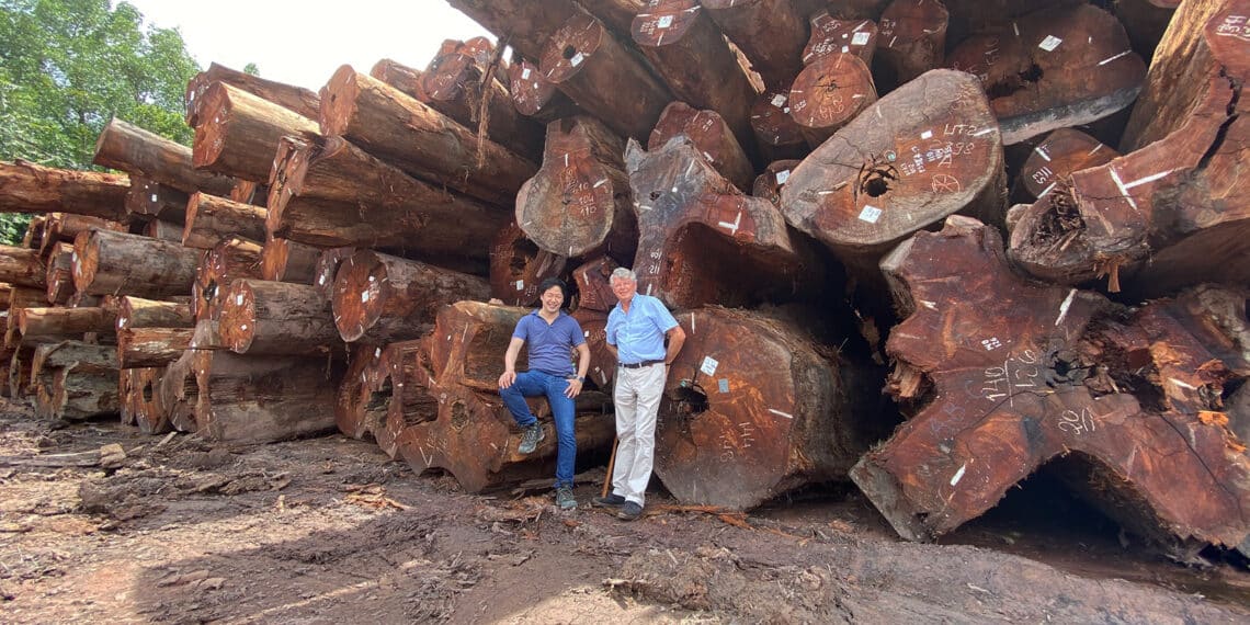 Houten brug - Haasnoot Bruggen